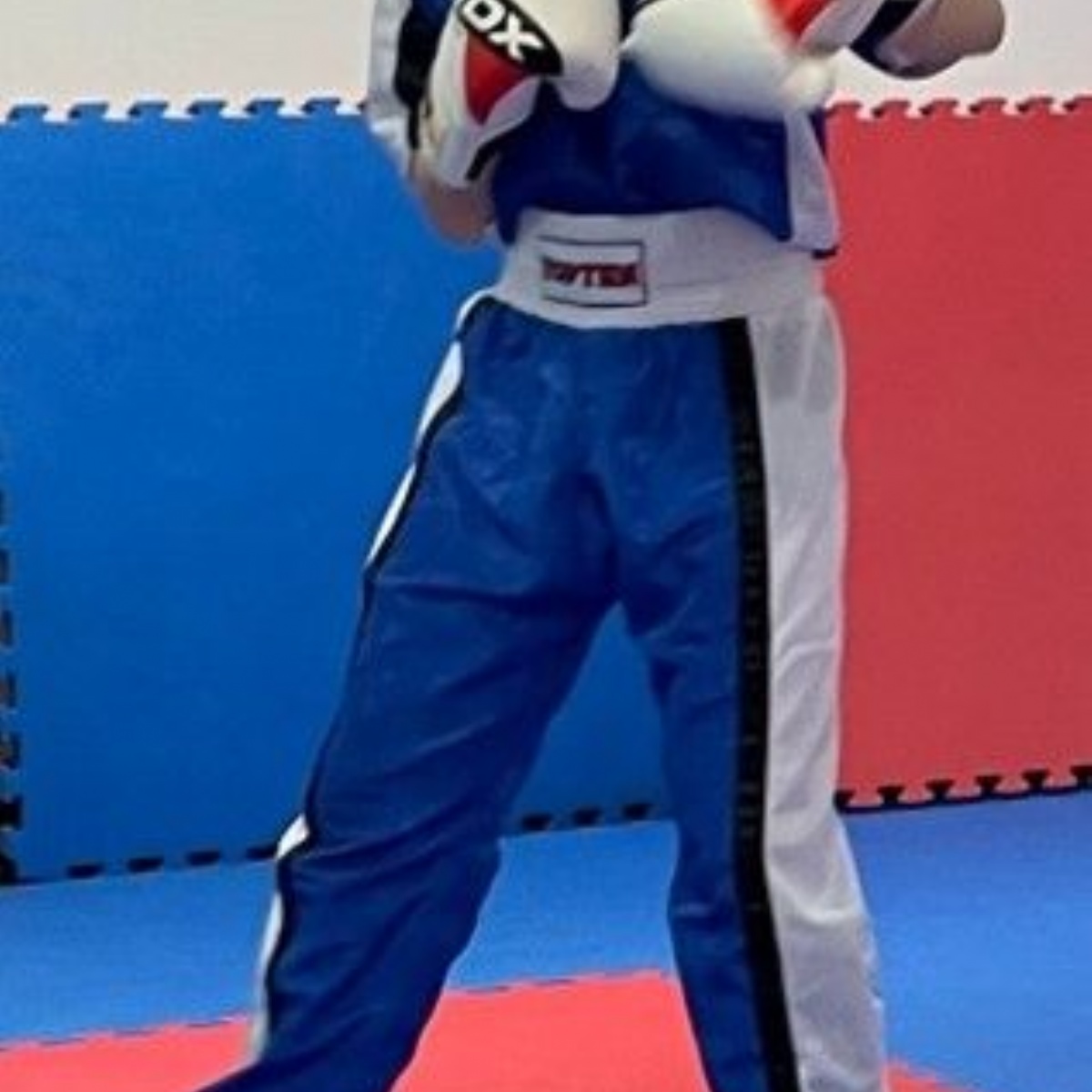 North Cestrian School - BMMA Purple-Stripe Grading