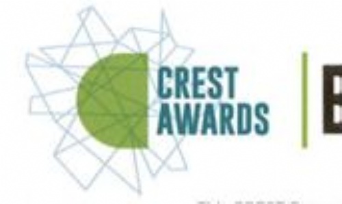 North Cestrian School - Character News - Bronze Crest Award
